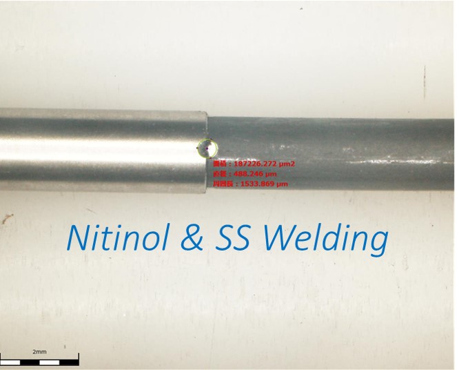 ACTMENT Co., Ltd.|Saitama Global Bizmatch